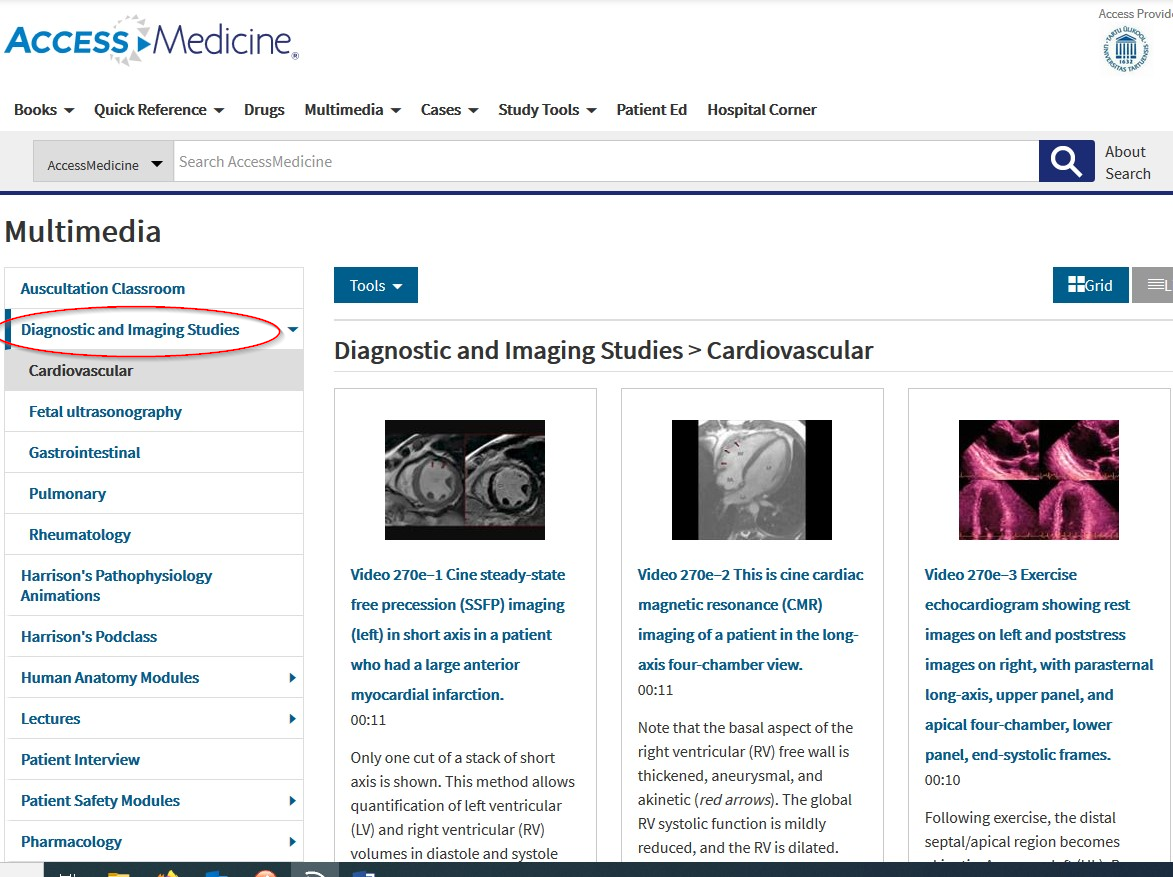 Multimeedia / Multimedia – Access Medicine