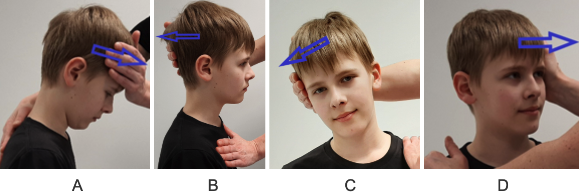 3.4. Isomeetrilised testid vastupanuga – E-õpik: Füsioterapeutiline ...