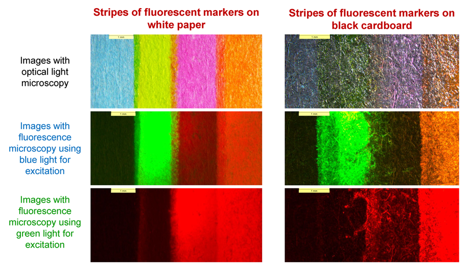 2.3. Fluorescence microscopy – MOOC: Instrumental analysis of cultural ...