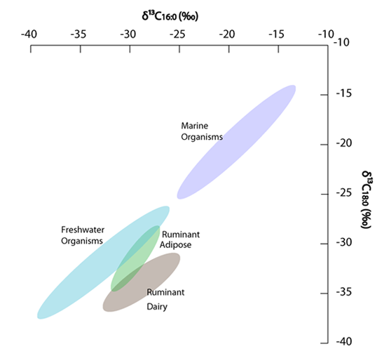 4.4. IRMS – MOOC: Instrumental analysis of cultural heritage objects