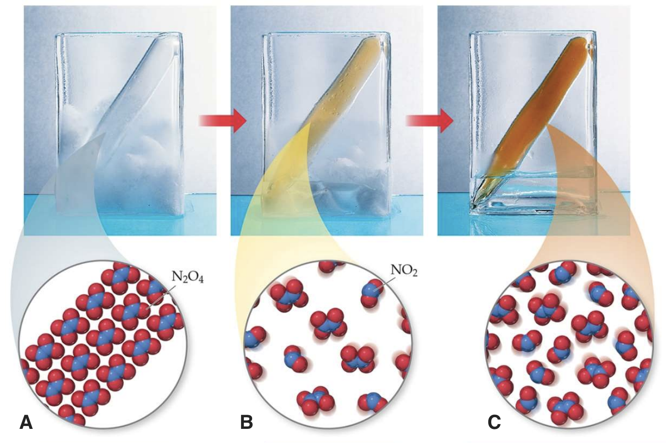 3.3. Keemiline tasakaal ja selle nihkumine – E-õpik: Keemia kursus ...