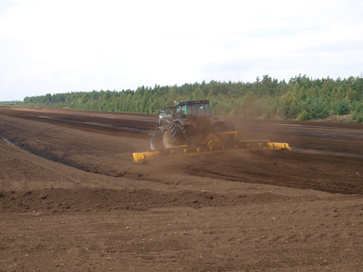 Turvas – Eesti maavarad