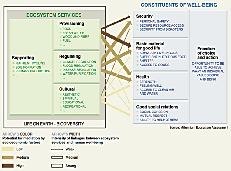 Ecosystem services (water-dependent ecosystems and habitats) – MOOC ...