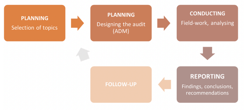 2.1. The audit cycle and an environmental audit as a performance audit ...