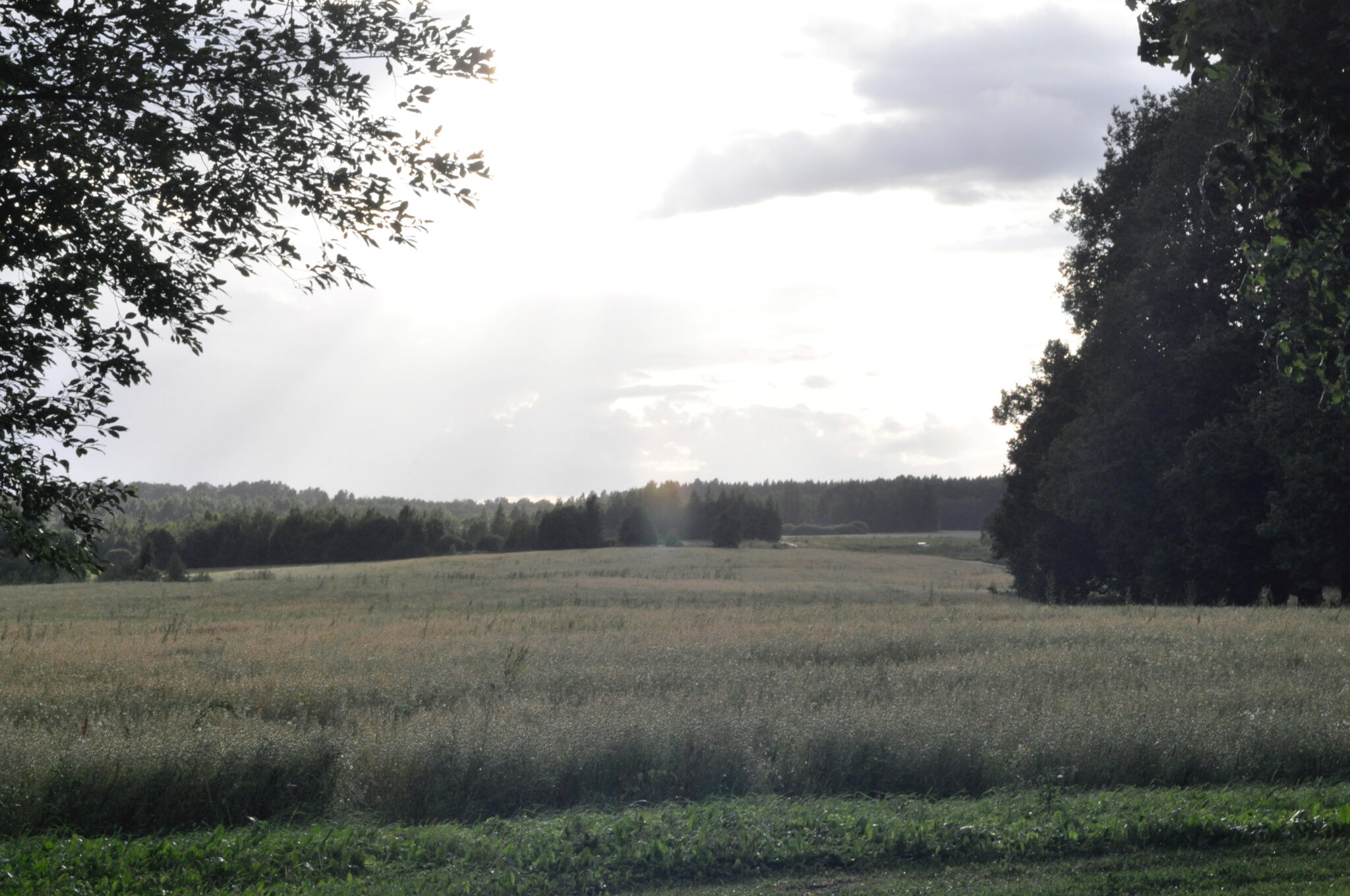 Congressus XIV Internationalis Fenno-Ugristarum – CIFU XIV will take ...